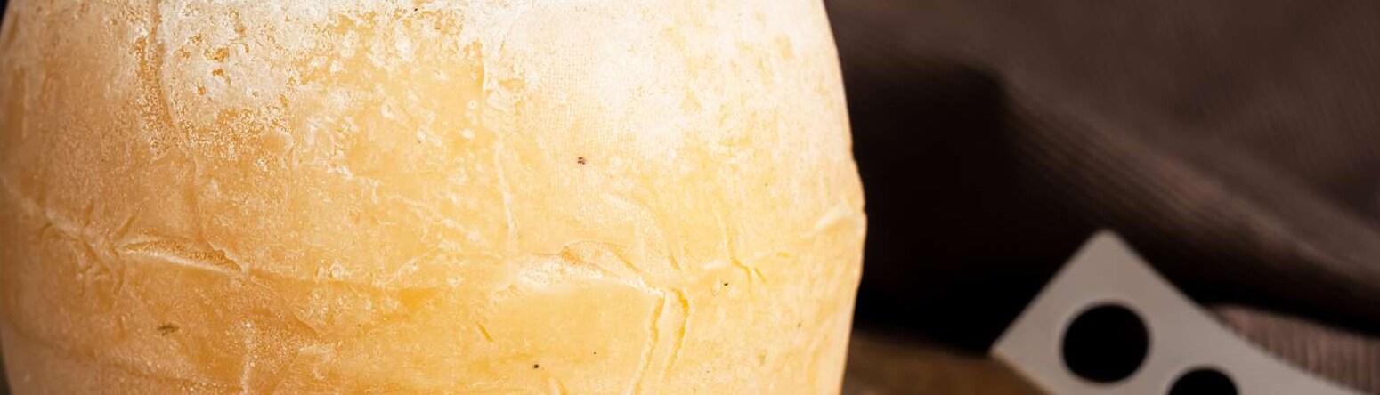 A Culinary Tour Through France's Gastronomic Capital Lyon