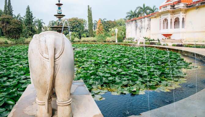 Things to do in Udaipur: a royal adventure