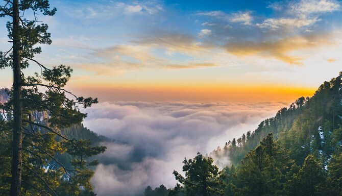 Tranquil mountain resorts in Murree | Radisson Hotels