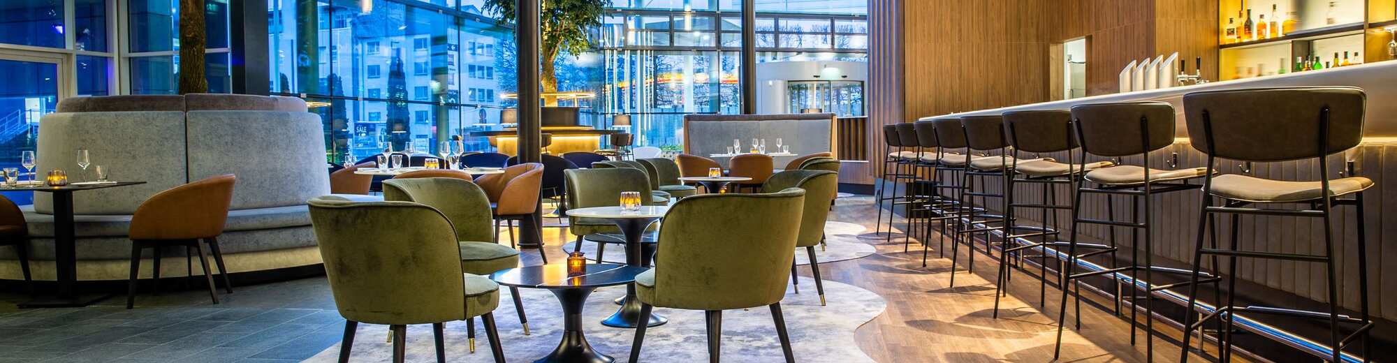 İş Lounge'u | Radisson Blu Resort & Spa, Korek Mountain