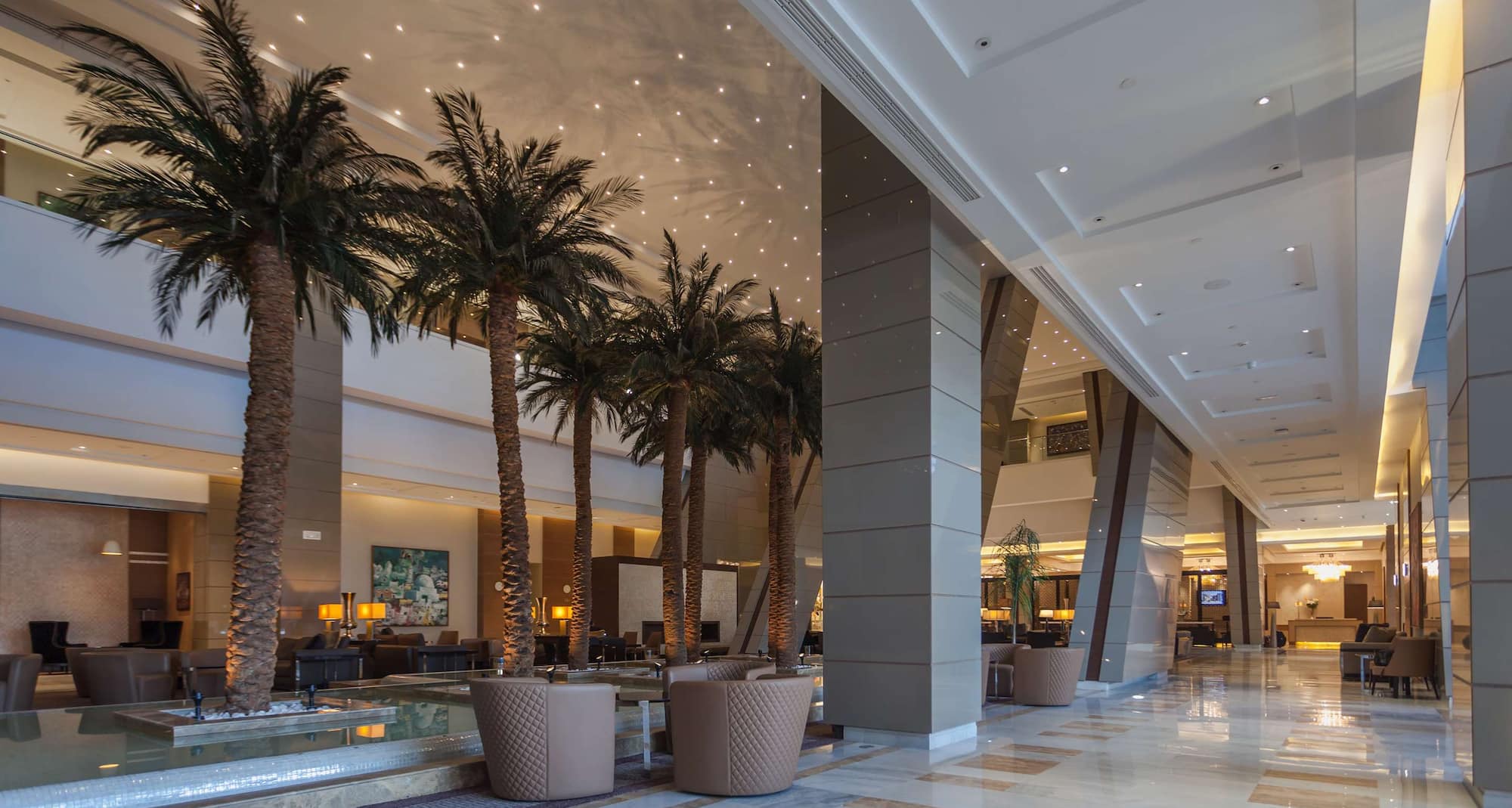 Services | Radisson Blu Hotel & Convention Center, Tunis