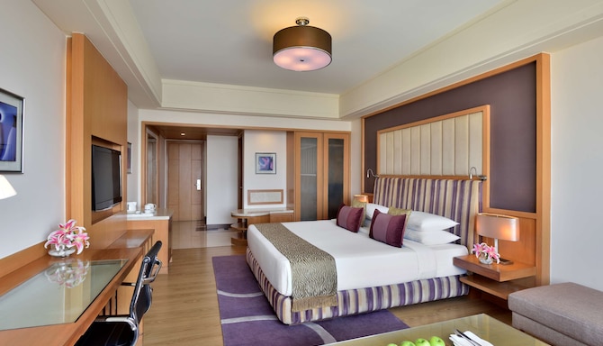 Book Hotels in Indore | Radisson Blu