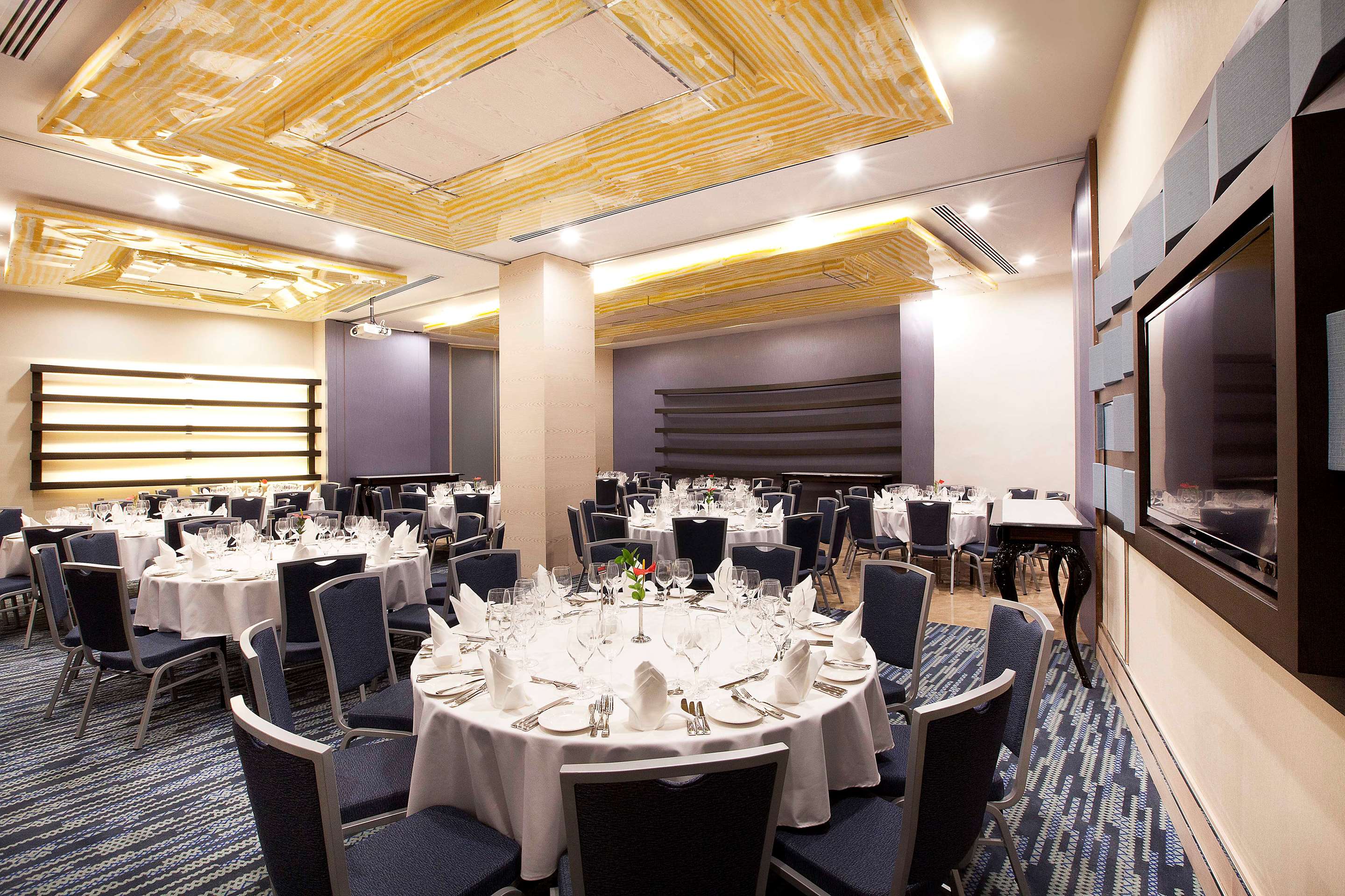 Meetings & Events in Istanbul, Taksim District - Radisson Blu