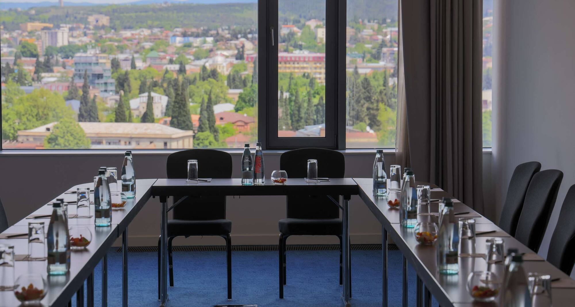 Meeting Rooms & Events in Tbilisi City Center - Radisson Blu Iveria ...