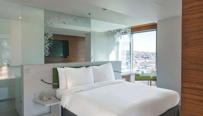 Radisson Blu Iveria Hotel, Tbilisi City Centre