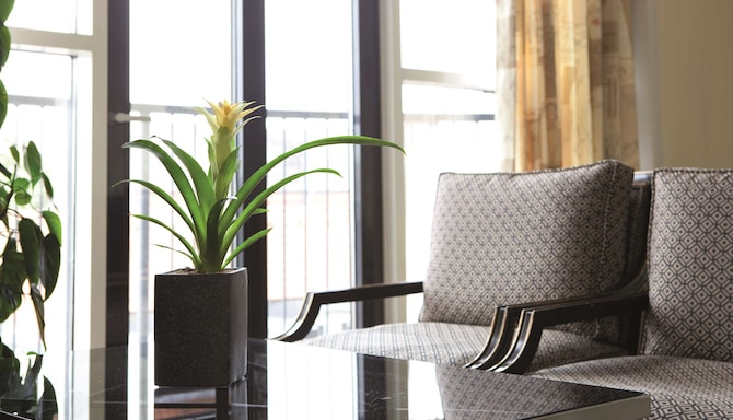 Hotels in Aalborg, Jomfru Ane Gade | Radisson Blu Limfjord Hotel