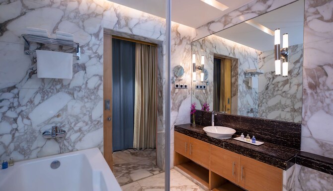 Hotels in Connaught Place, Delhi | Radisson Blu Marina Delhi Connaught