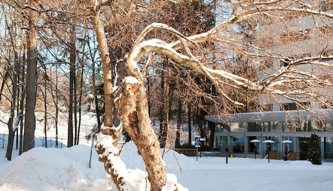 Hoteller i Oslo, Fornebu næringspark | Radisson Blu Park Hotel