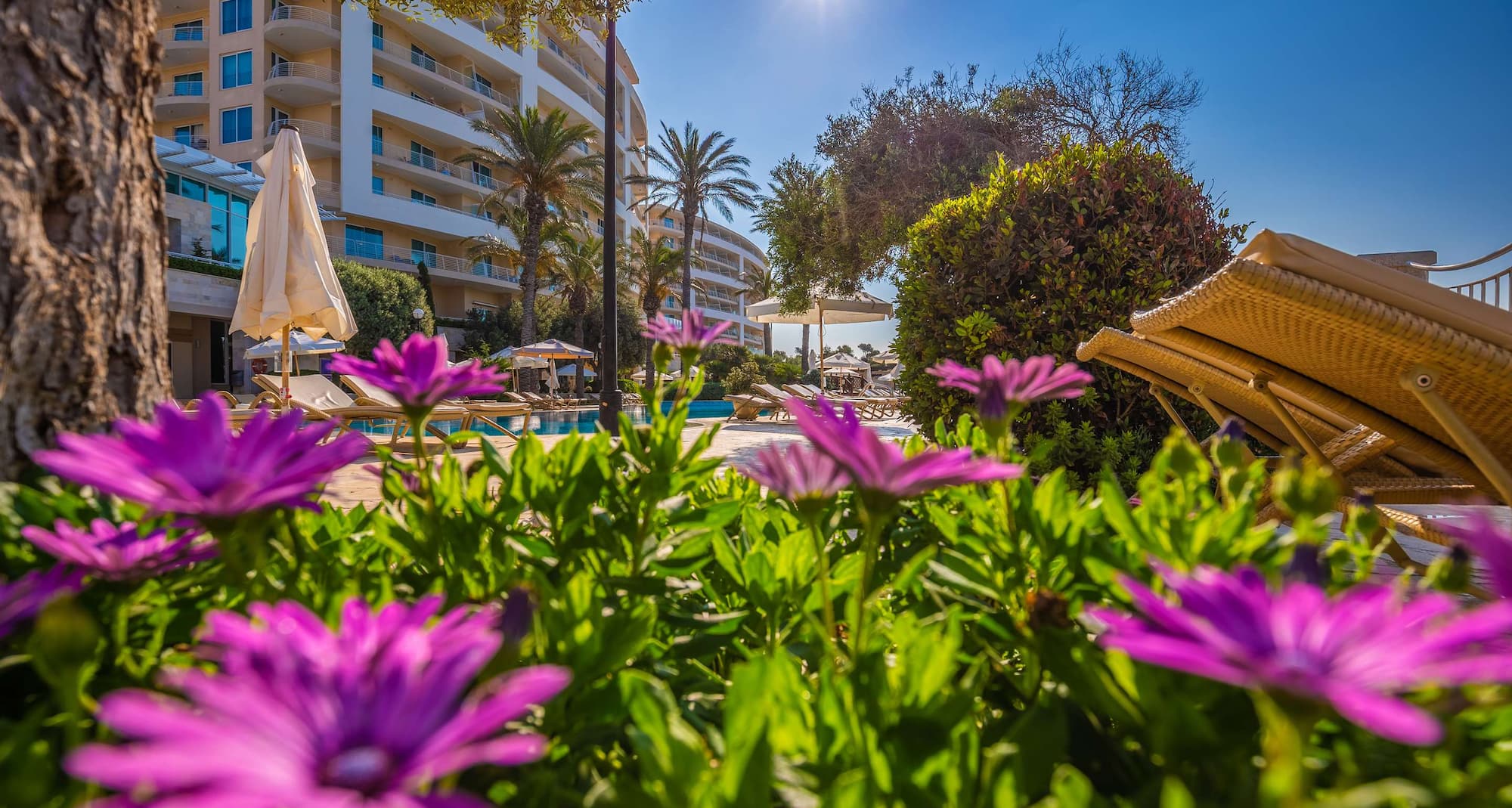 Services | Radisson Blu Resort & Spa, Malta Golden Sand