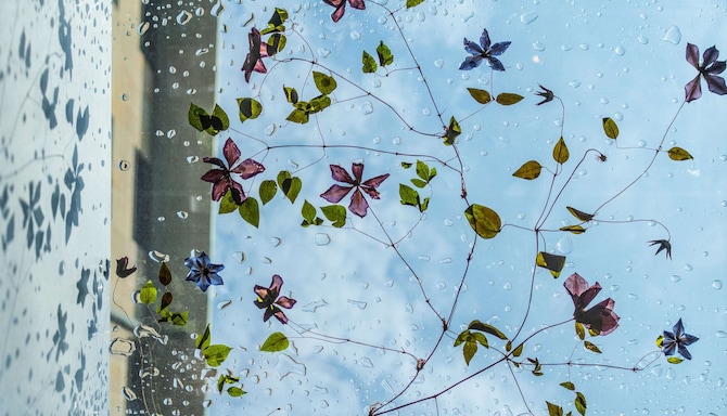 Radisson Collection - Stories to inspire