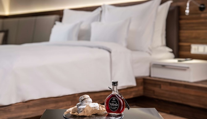 Hotel in Belgrade Serbia | Radisson Collection Old Mill Belgrade