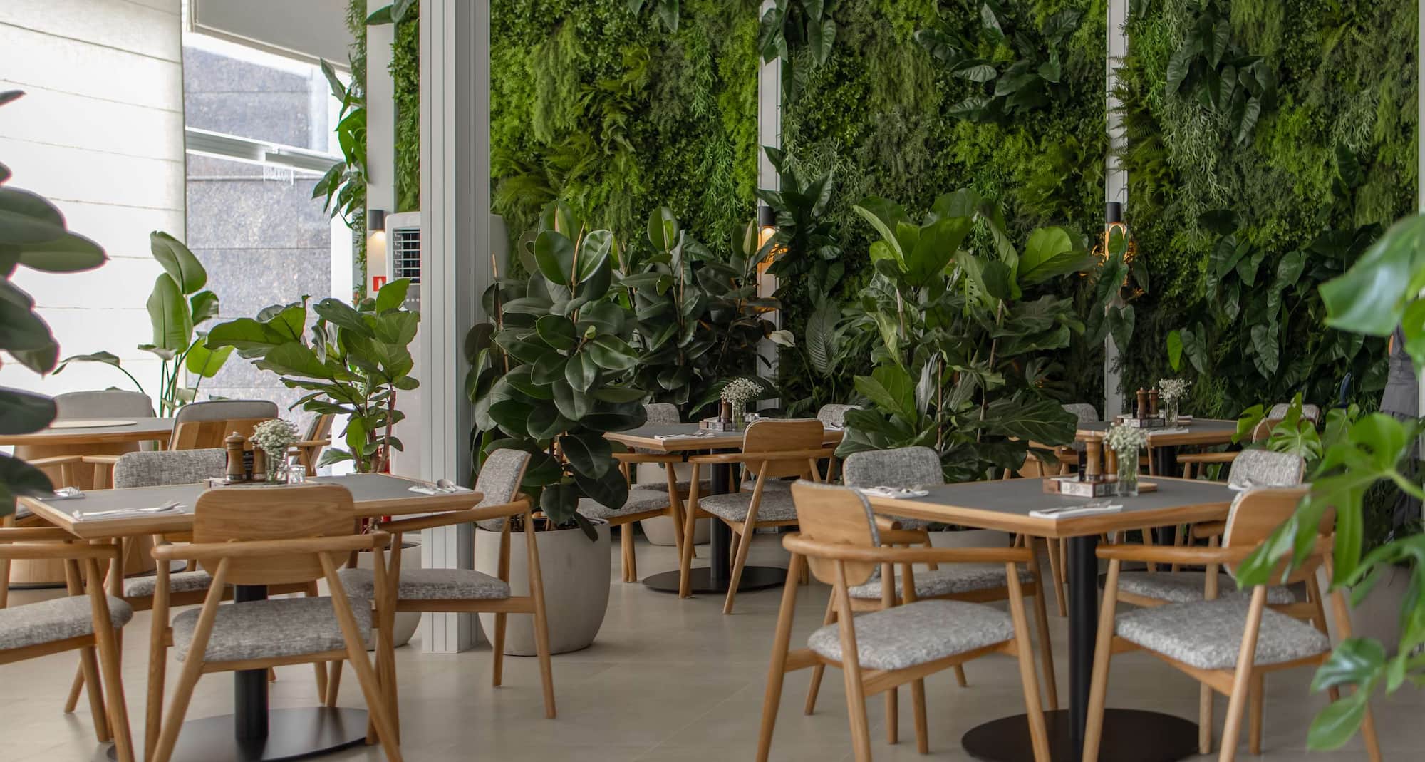 Discover Sunsets | Radisson Collection Paradise Resort & Spa, Sochi