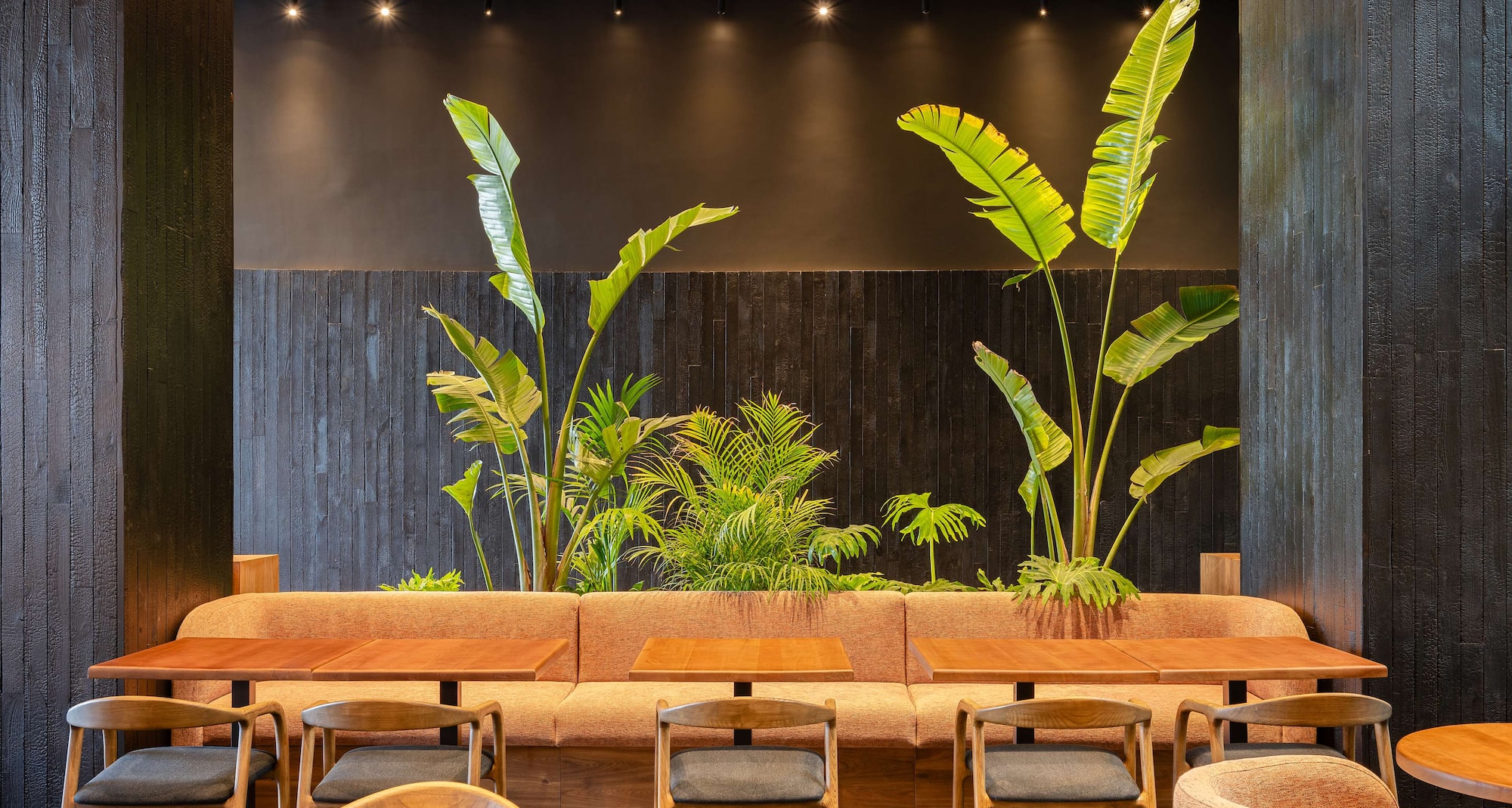 Memorable moments at Radisson Hotel Casablanca Gauthier La Citadelle