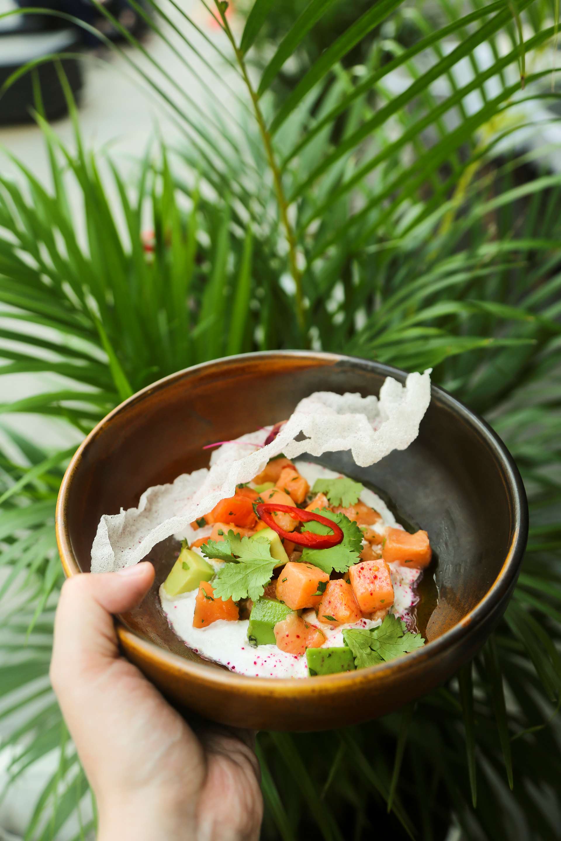 Njut av vår fantastiska restaurang Issei Copenhagen - Boka nu ...