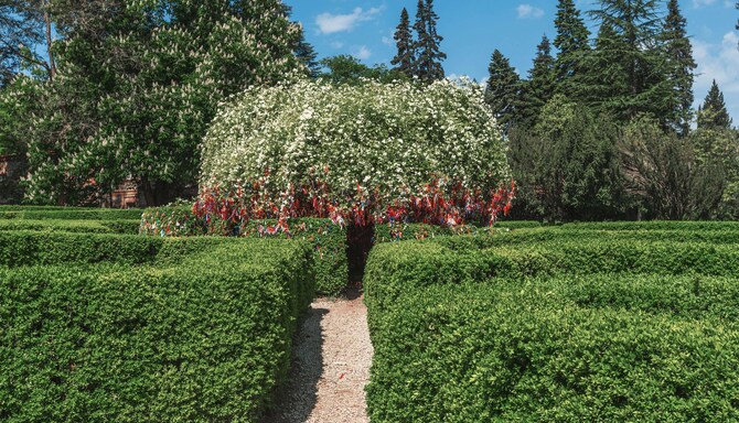Enjoy culinary experiences in Georgia | Radisson Hotels