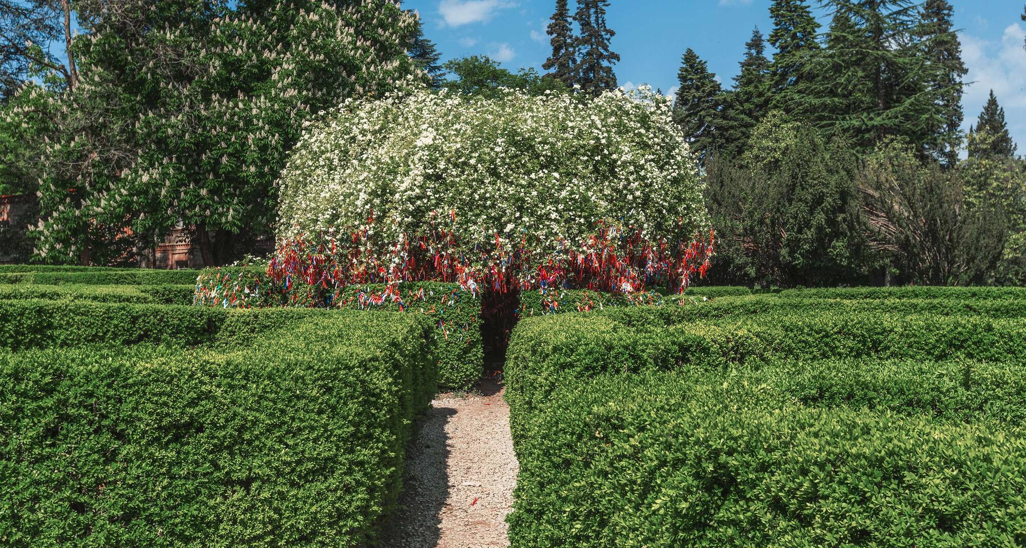 Visit Tsinandali, Kakheti | Museum, Tourism, Wine | Radisson Hotels