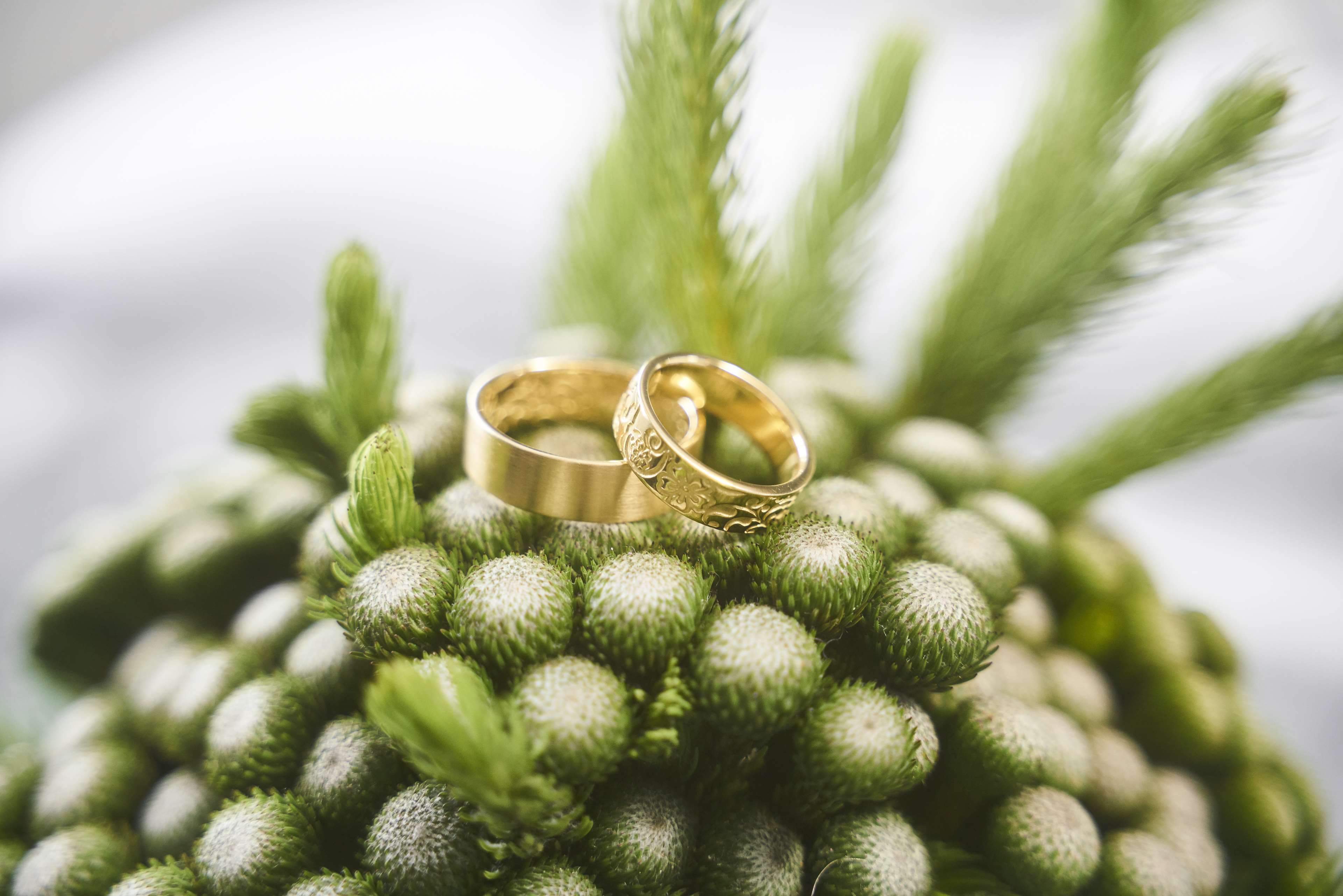 Radisson Weddings – Your special day | Radisson Hotels